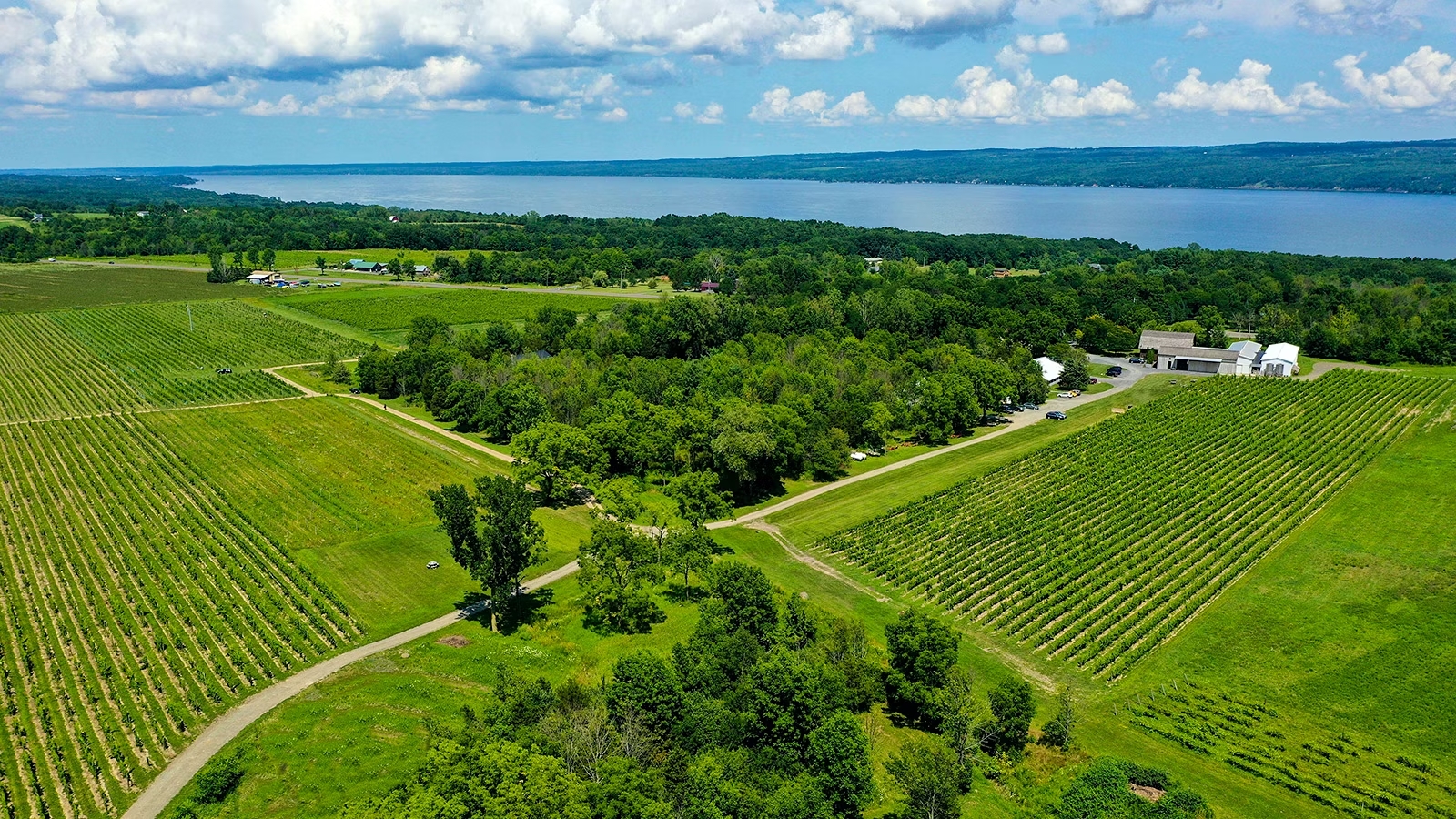 Farming at the Edge at Hermann J Wiemer Vineyard - Finger Lakes Wine ...